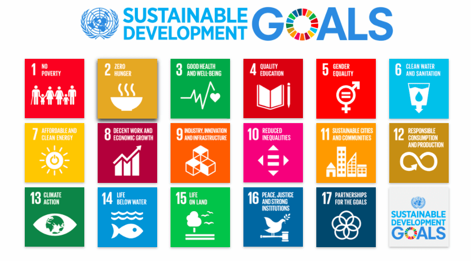 Sustainable Development Goals SDG's PGCE Secondary Global Goal four