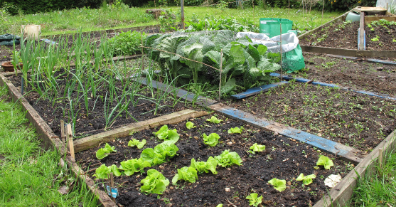 The Fold: “how inappropriate land use can damage soils”